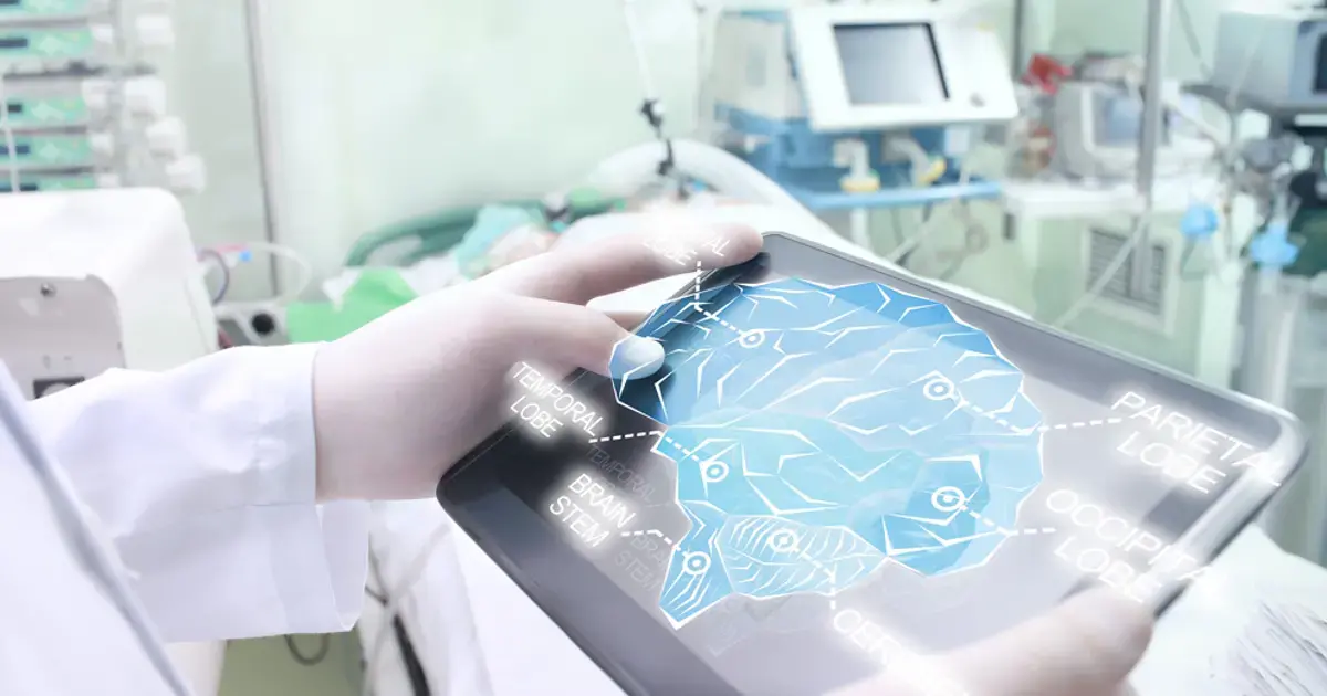 Brain without Anatomy: Construction and Comparison of Fully Network ...