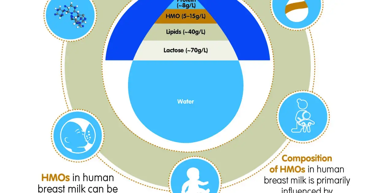 All about Human Milk Oligosaccharides | Wyeth Nutrition Science Center
